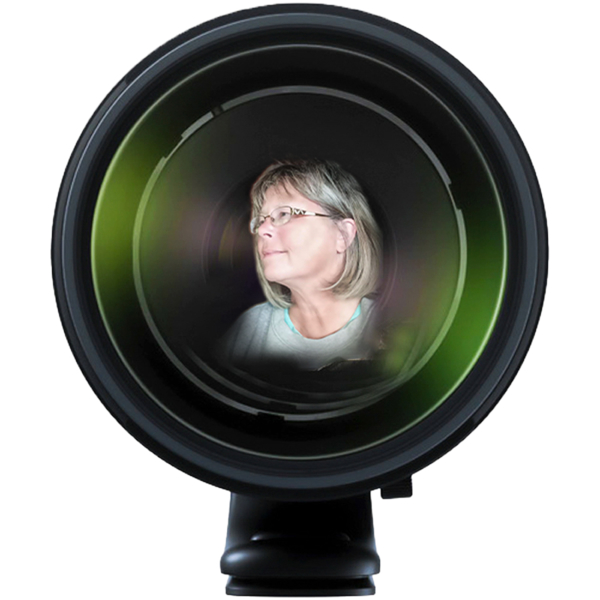 Sandra J's - Official Website